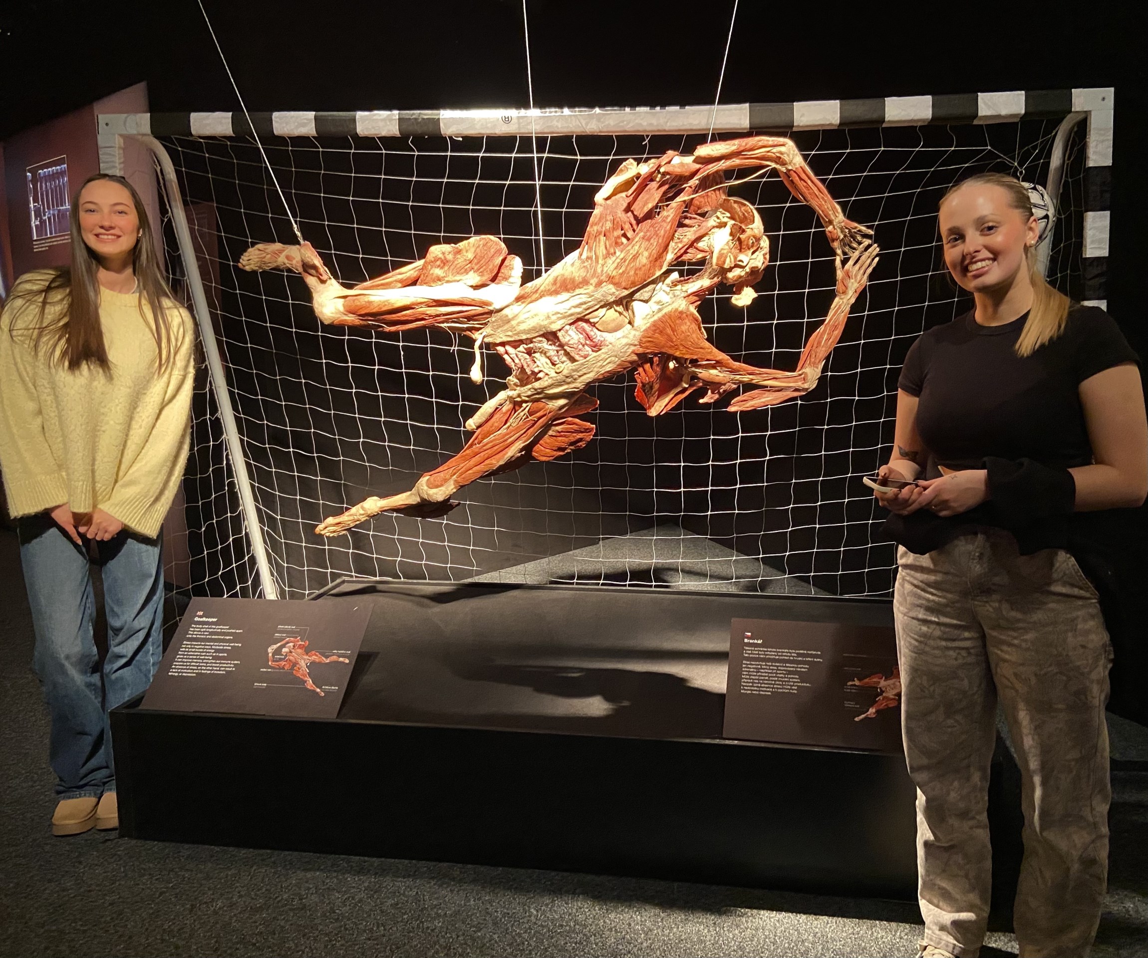 Výstava Body Worlds Praha | Aktuality ze školy | ZŠG Vítkov