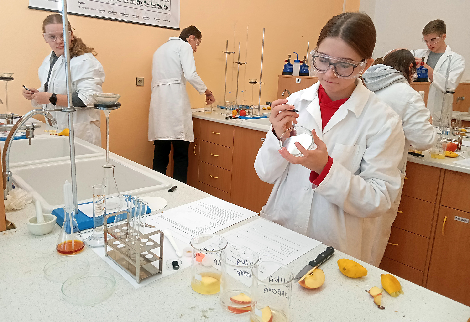 Školní kolo chemické olympiády kategorie D | Gymnázium - Aktuality ...